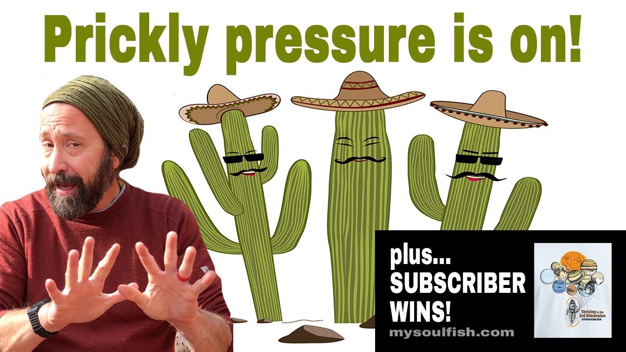 Things are feeling prickly aren't they? | SoulFish