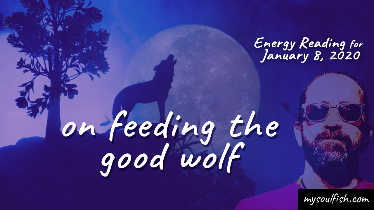 Today, on feeding the good wolf. | SoulFish