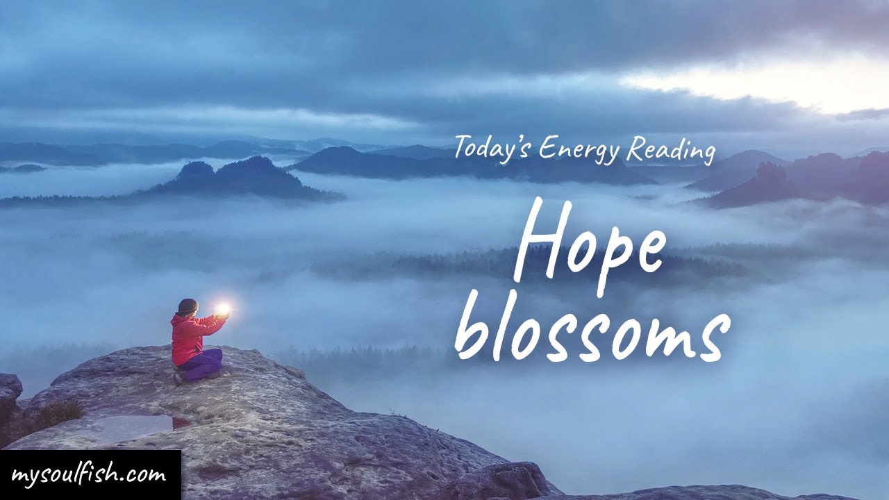 Hope for something better can inspire you, if you let it. | SoulFish