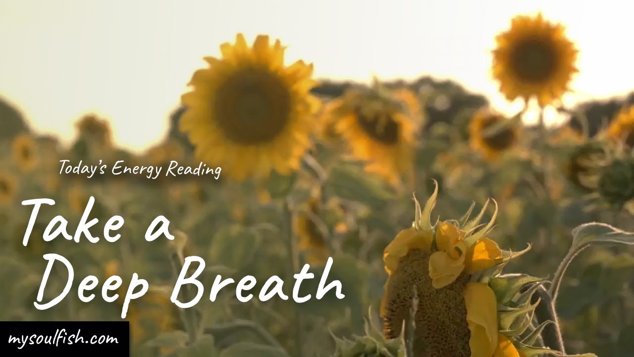 Take a Deep Breath | SoulFish