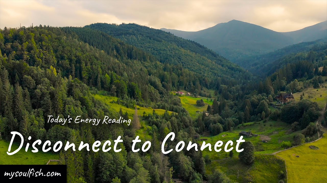 Disconnect to Connect | SoulFish