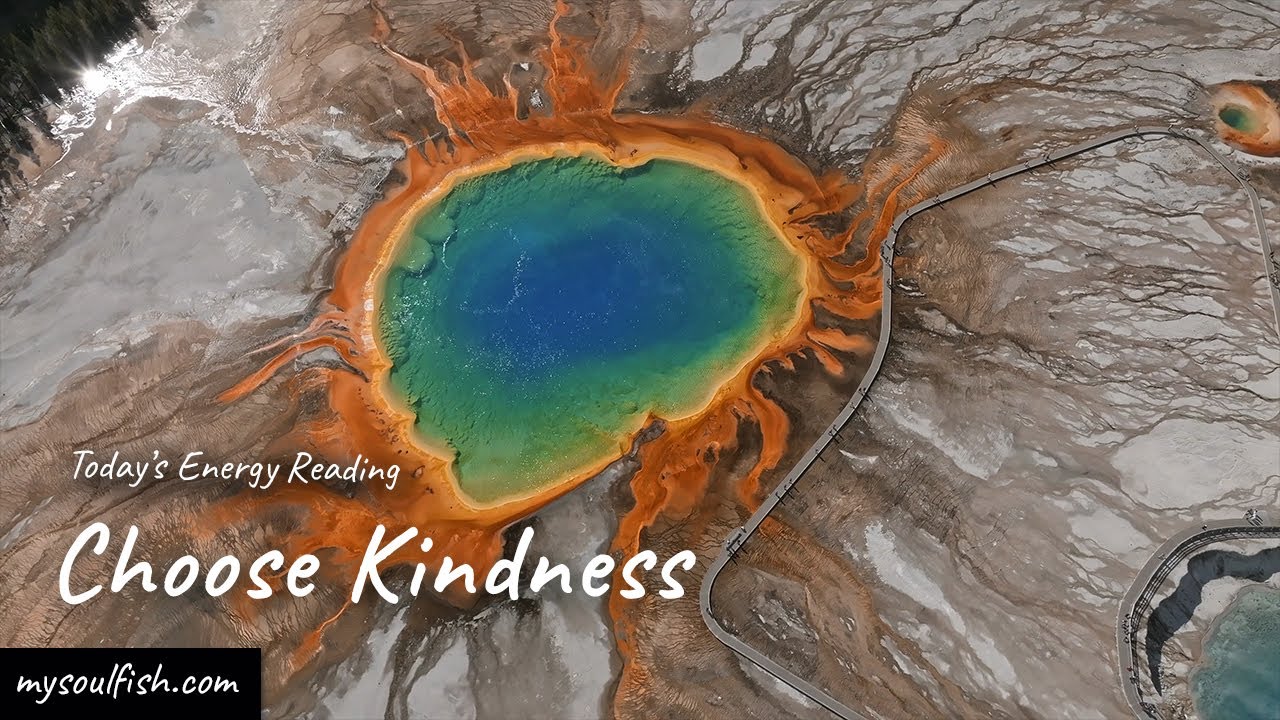 Choose Kindness | SoulFish