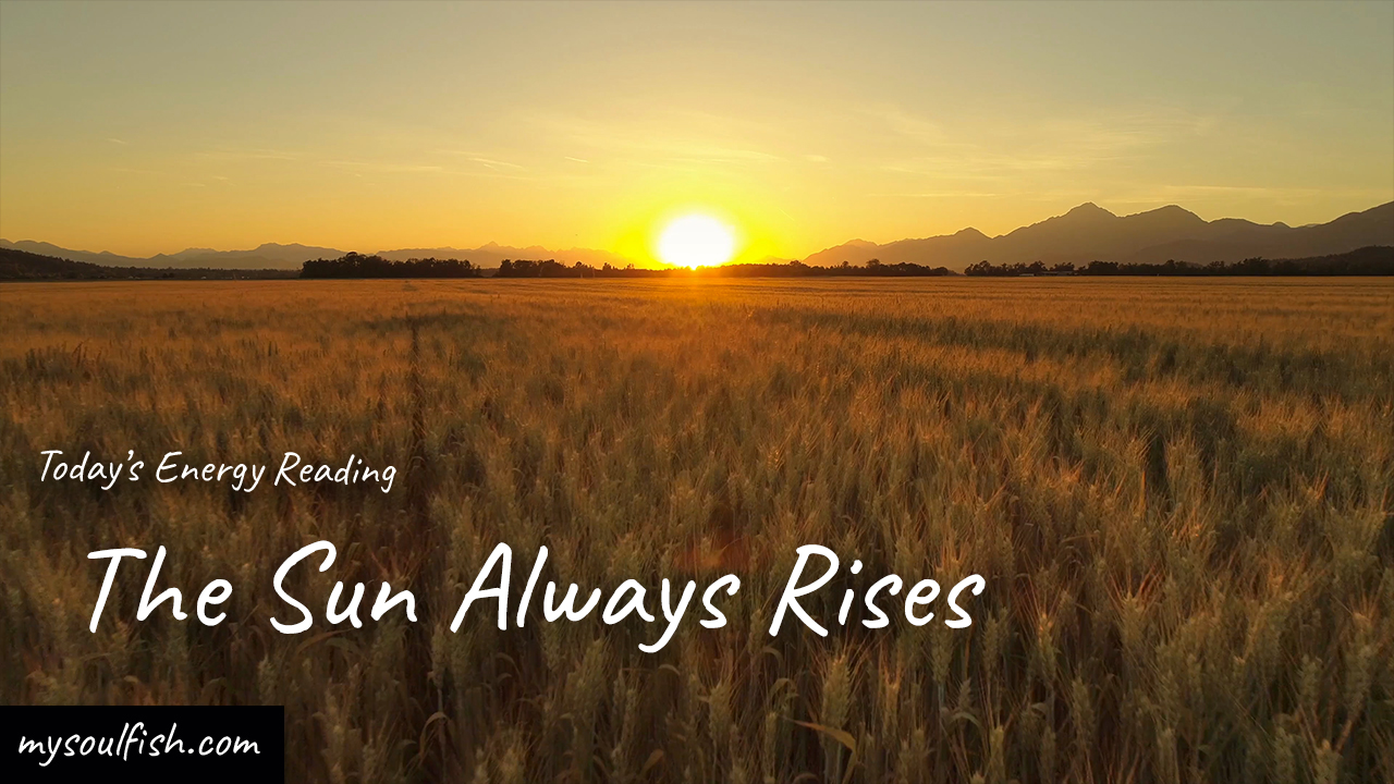 The Sun Always Rises | SoulFish